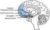The Dancing Brain - the cognitive effects of dance - The Lewis ...