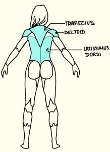 The Dancing Brain Part 2 - The Physical Marvels of Dance - The Lewis ...