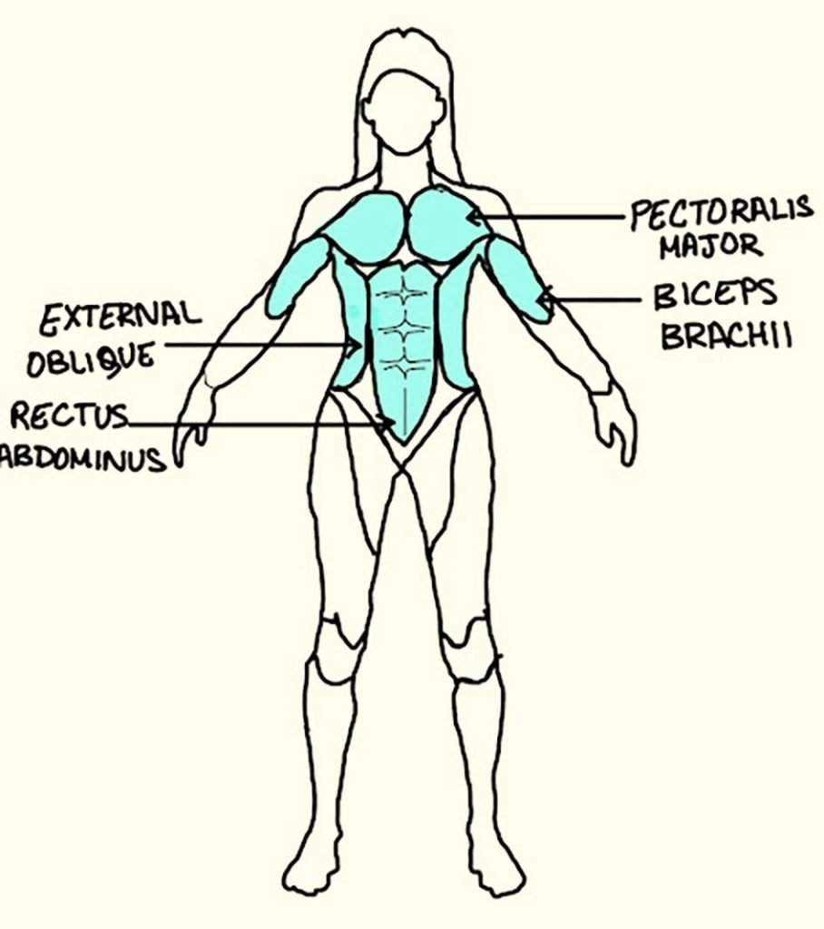 The Dancing Brain Part 2 - The Physical Marvels of Dance - The Lewis ...
